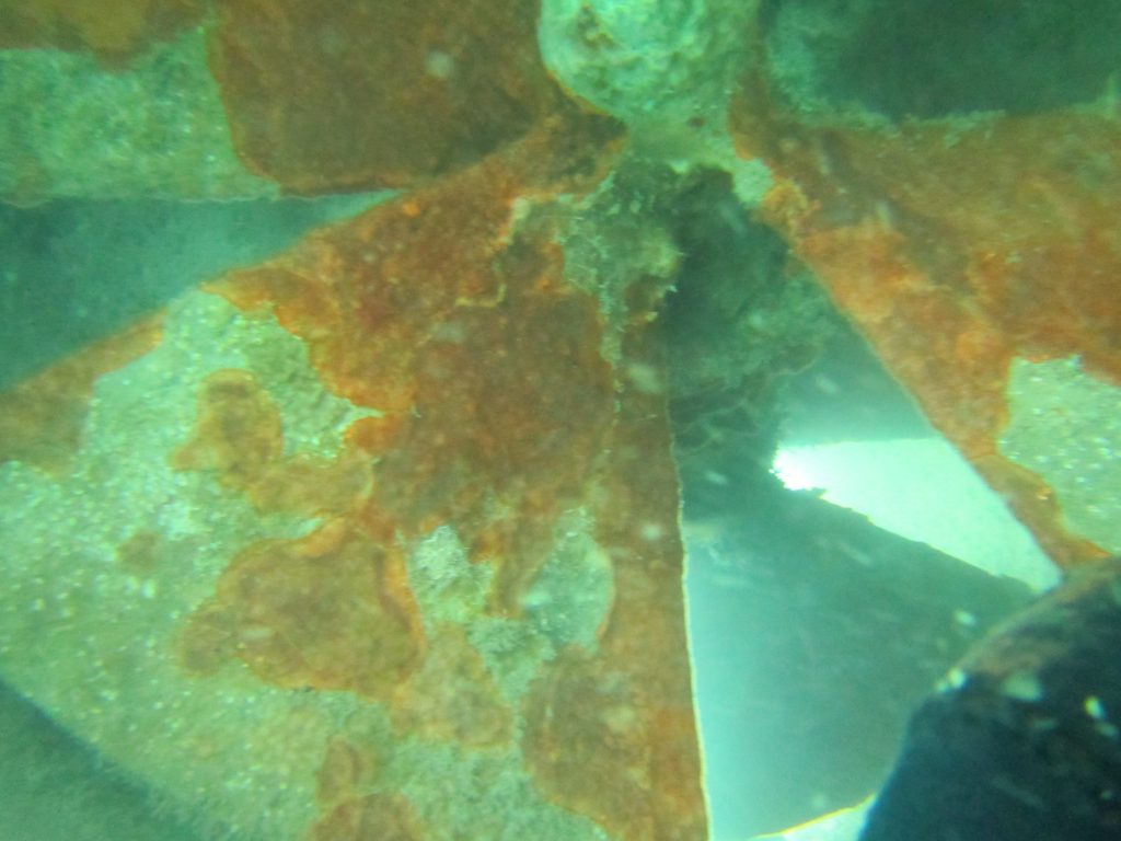 Aquatic Invasive Species | Biofouling