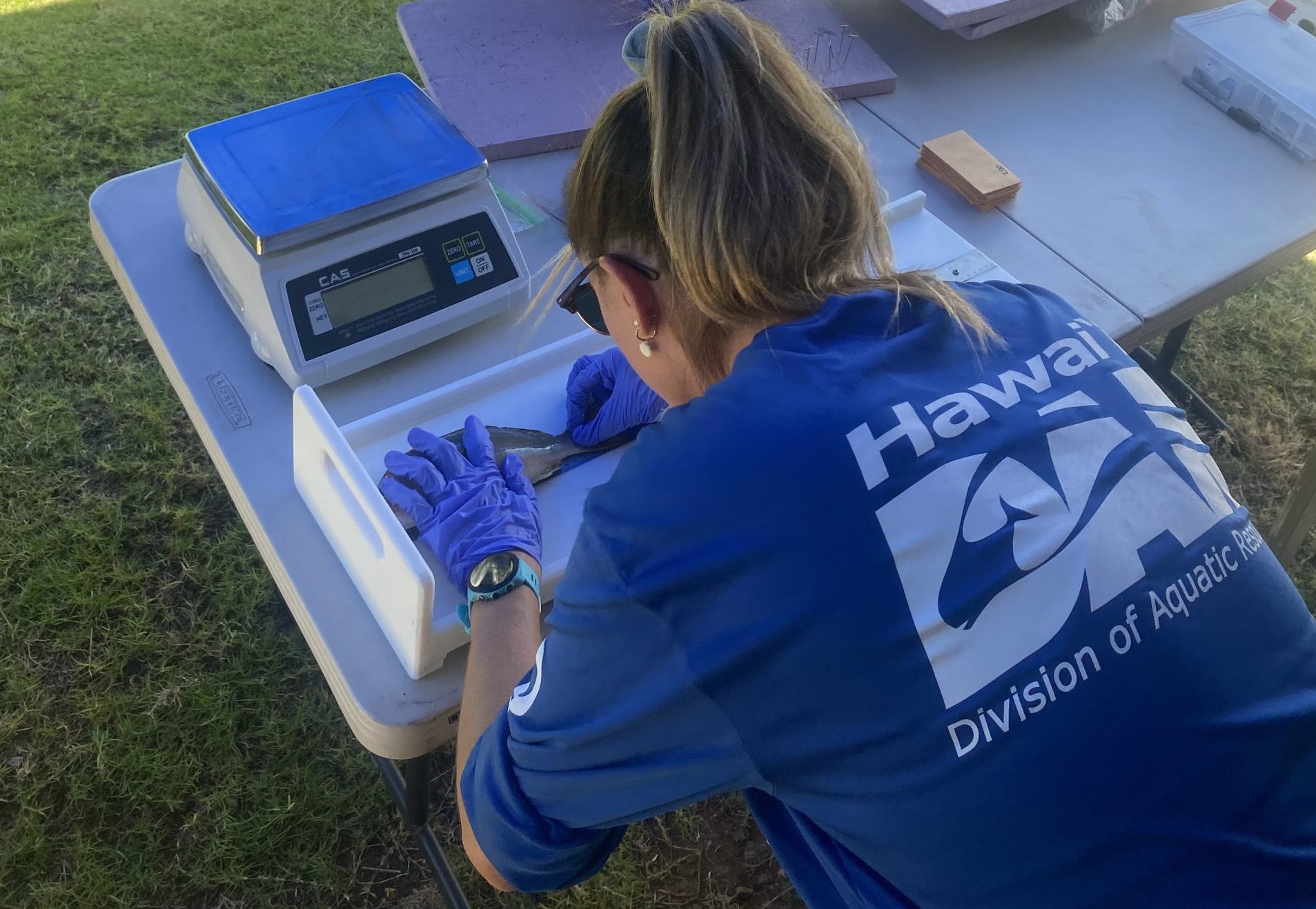 Aquatic Invasive Species | AIS Team Quarterly Update (2023 Q3)