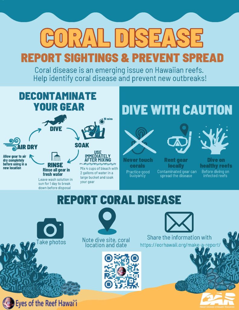 Coral Disease: Report Sightings & Prevent Spread | Aquatic Invasive Species