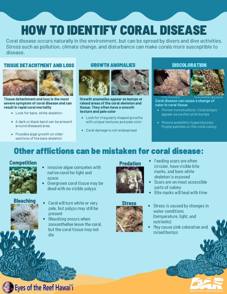 Aquatic Invasive Species | Coral Disease: Report Sightings & Prevent Spread