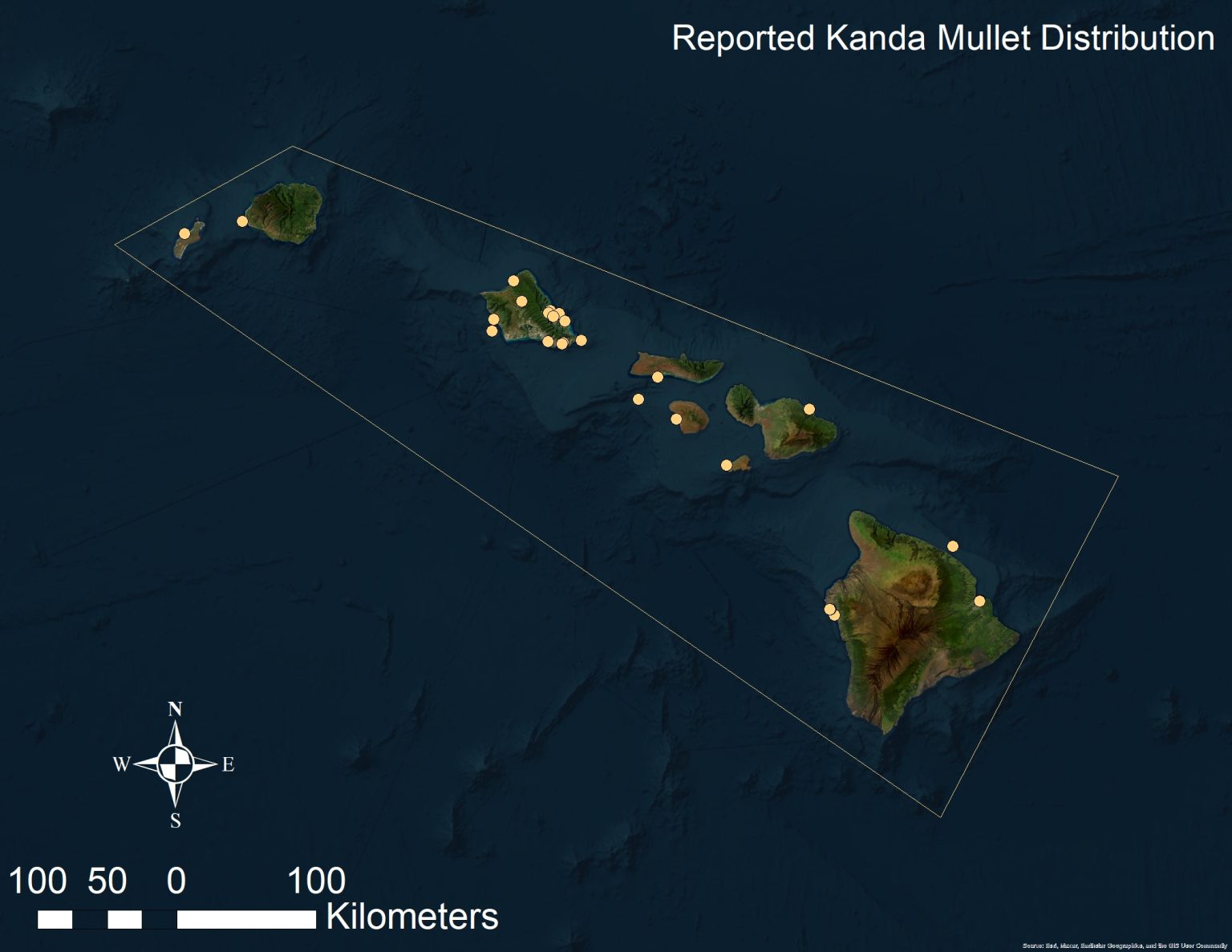 Aquatic Invasive Species | Kanda Mullet