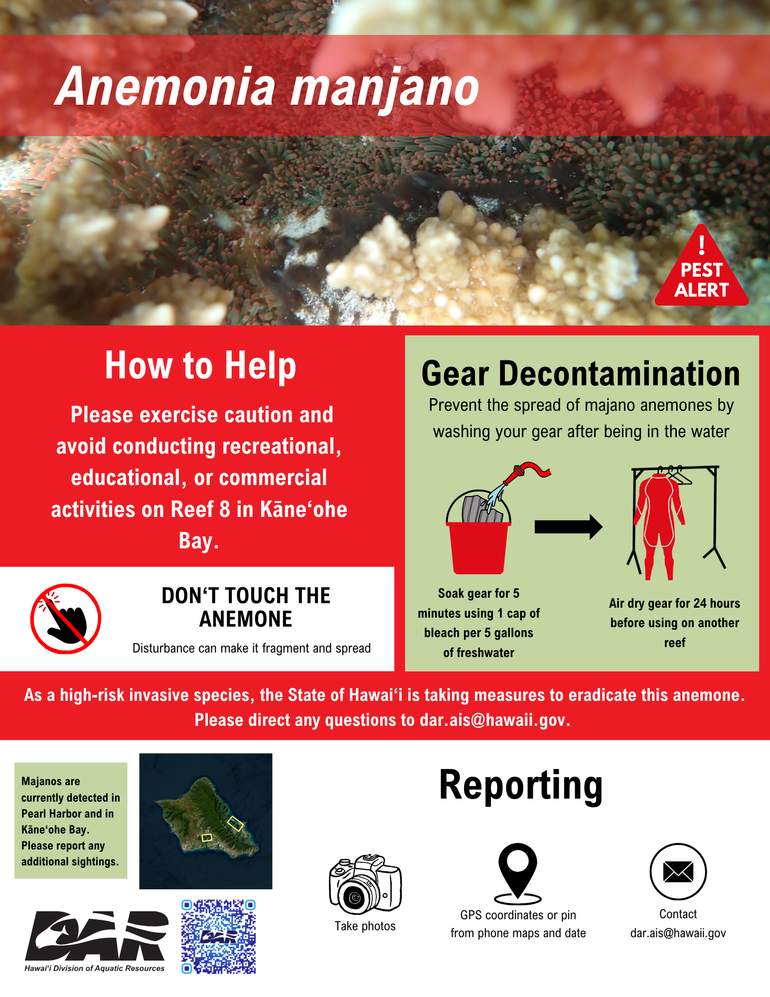 Aquatic Invasive Species | Anemonia manjano Informational Pamphlet