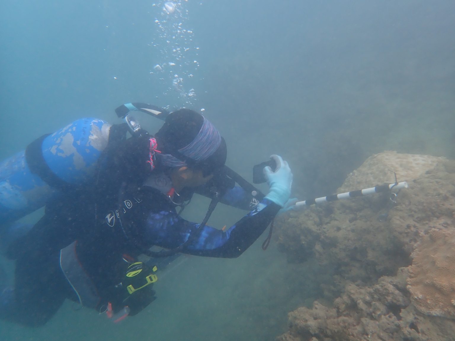 Aquatic Invasive Species Team Quarterly Update (2025 Q2) | Aquatic ...