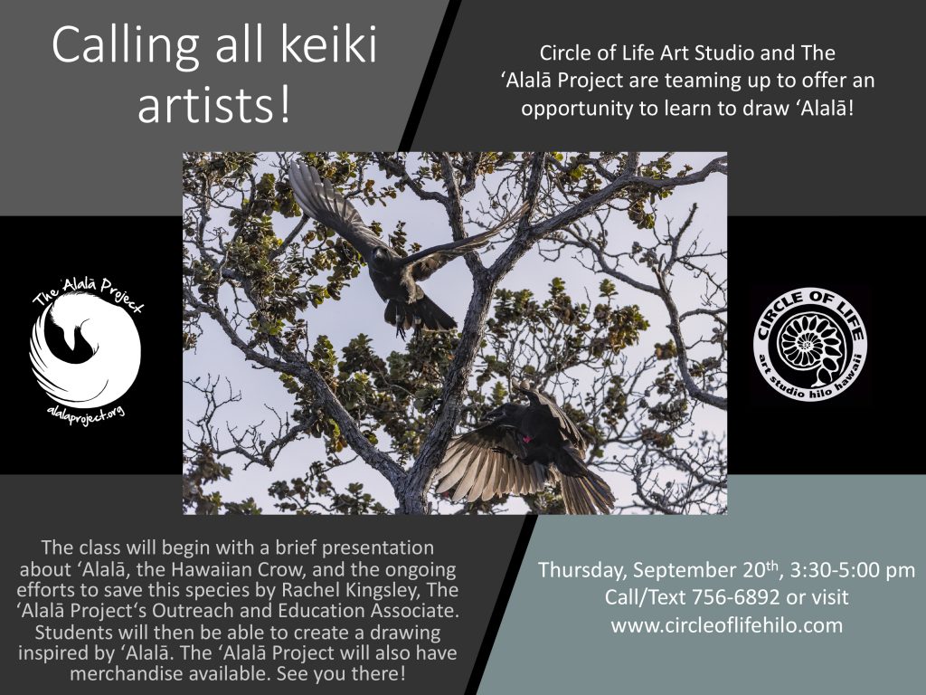 ʻAlalā Project | Circle of Life Art Studio keiki drawing class