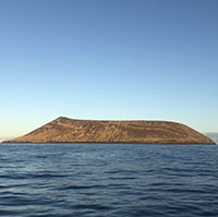 Division of Aquatic Resources | 08/08/22 – DAR completes marine survey ...