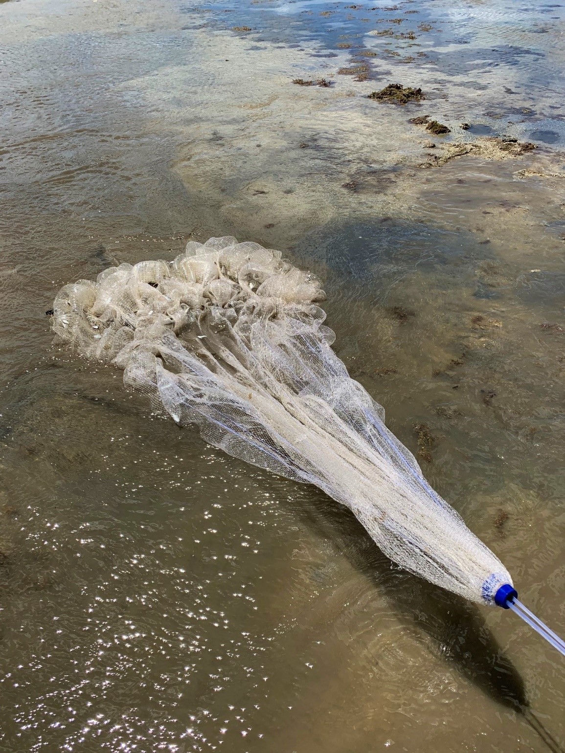 Division of Aquatic Resources | 4/13/23 – Are wet winters beneficial ...