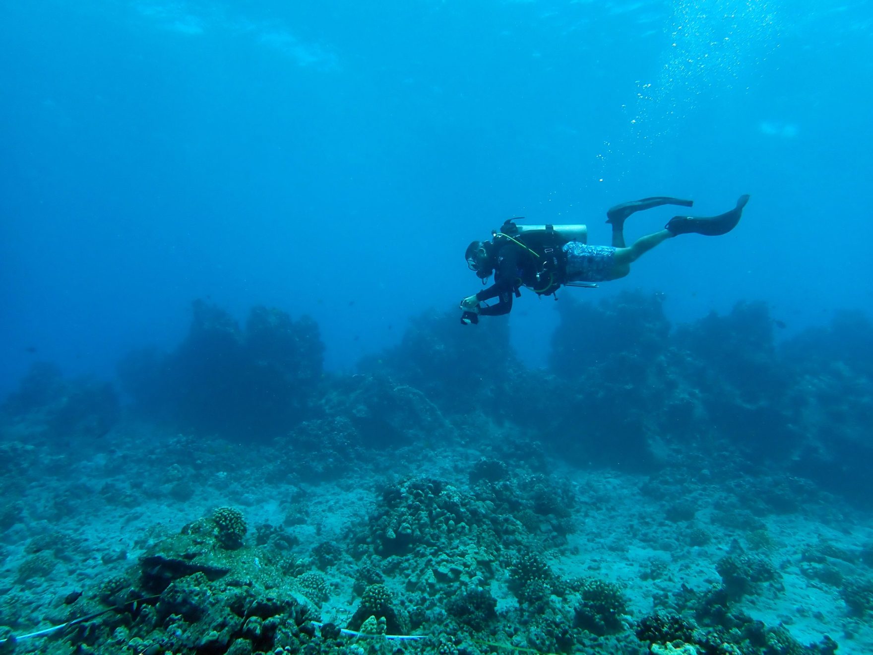 Division of Aquatic Resources | 7/27/23 – Imaging reefs in 3D! A new ...