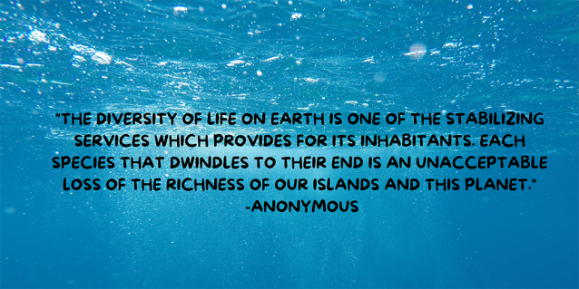 Division of Aquatic Resources | Marine Protected Species