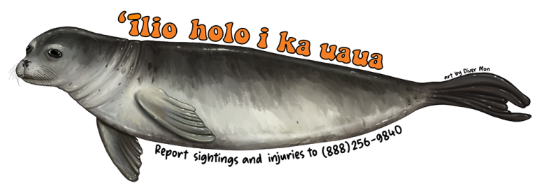 Division of Aquatic Resources | Hawaiian Monk Seal