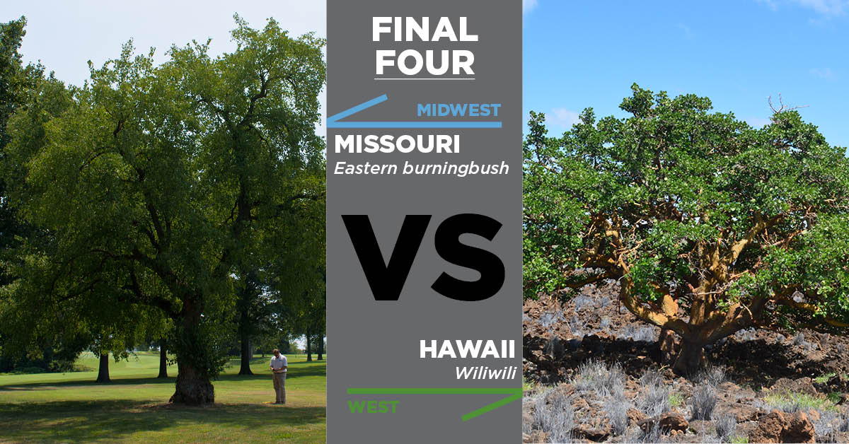 Division of Forestry and Wildlife | Don’t forget to show your support ...