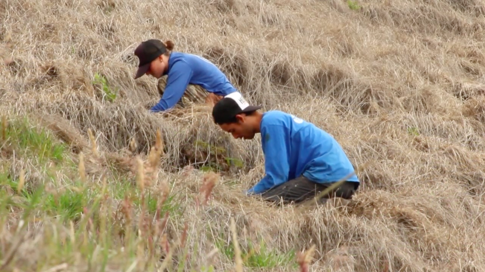 Division of Forestry and Wildlife | Maui’s Newest Natural Area Reserve ...