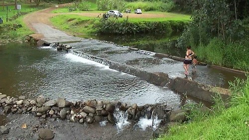 Division of Forestry and Wildlife | 2016 | November