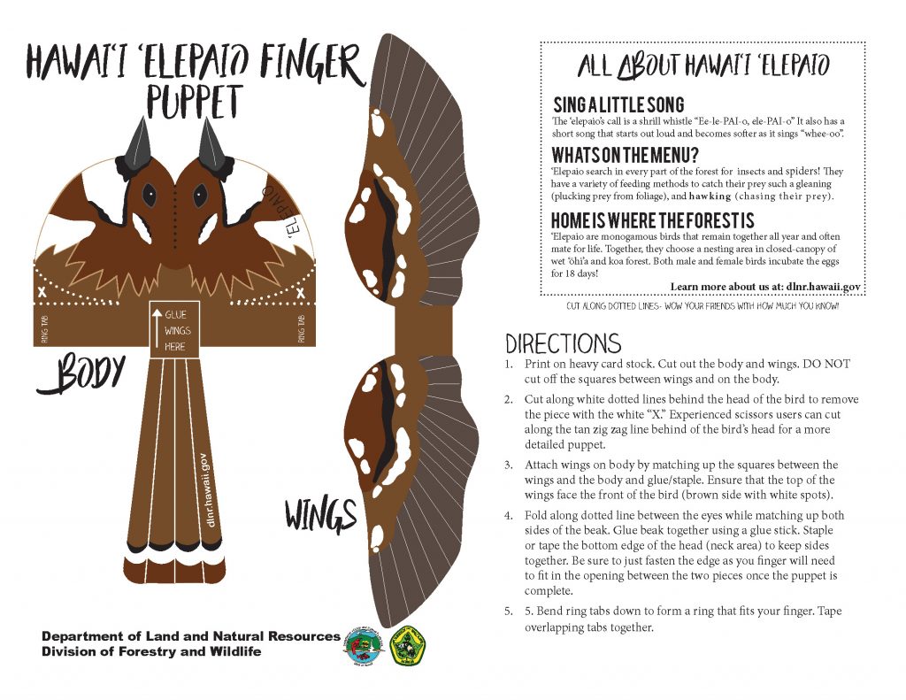 Division of Forestry and Wildlife | Activities: Crafts, Games, Coloring ...