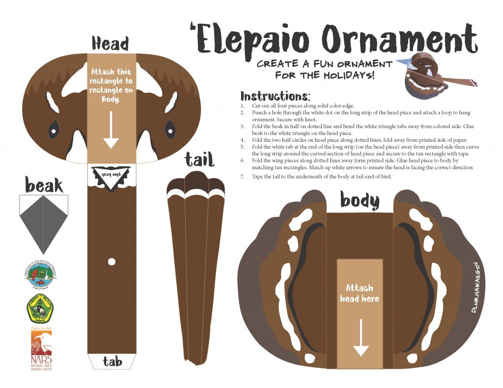 Division of Forestry and Wildlife | Activities: Crafts, Games, Coloring ...