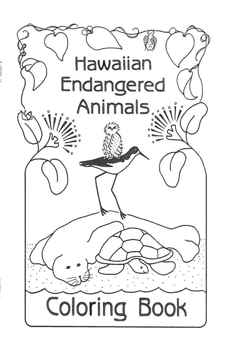 Division of Forestry and Wildlife | Activities: Crafts, Games, Coloring ...