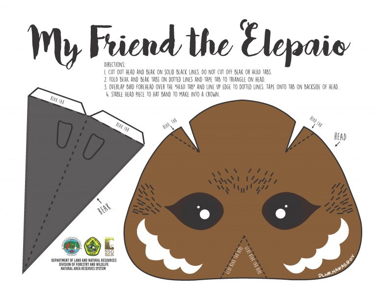 Division of Forestry and Wildlife | Activities: Crafts, Games, Coloring ...