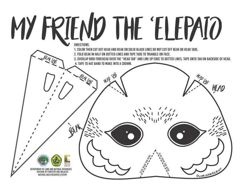 Division of Forestry and Wildlife | Activities: Crafts, Games, Coloring ...