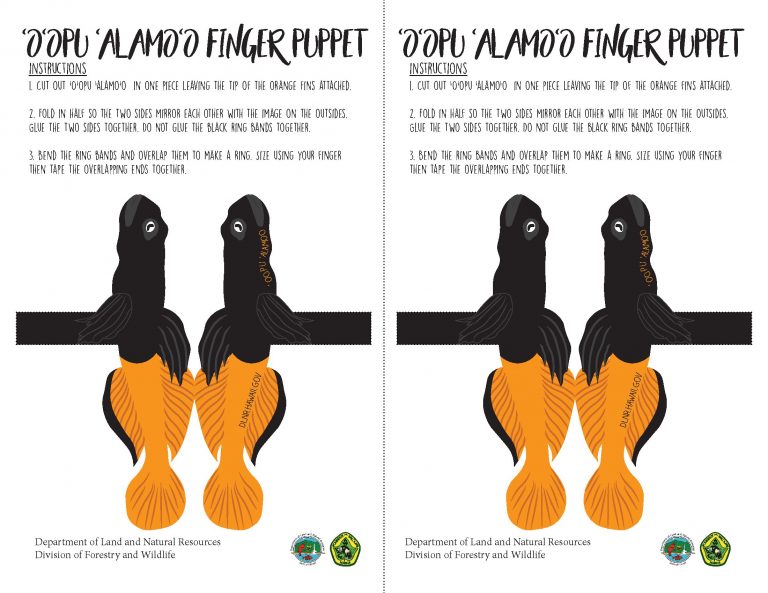 Division of Forestry and Wildlife | Activities: Crafts, Games, Coloring ...