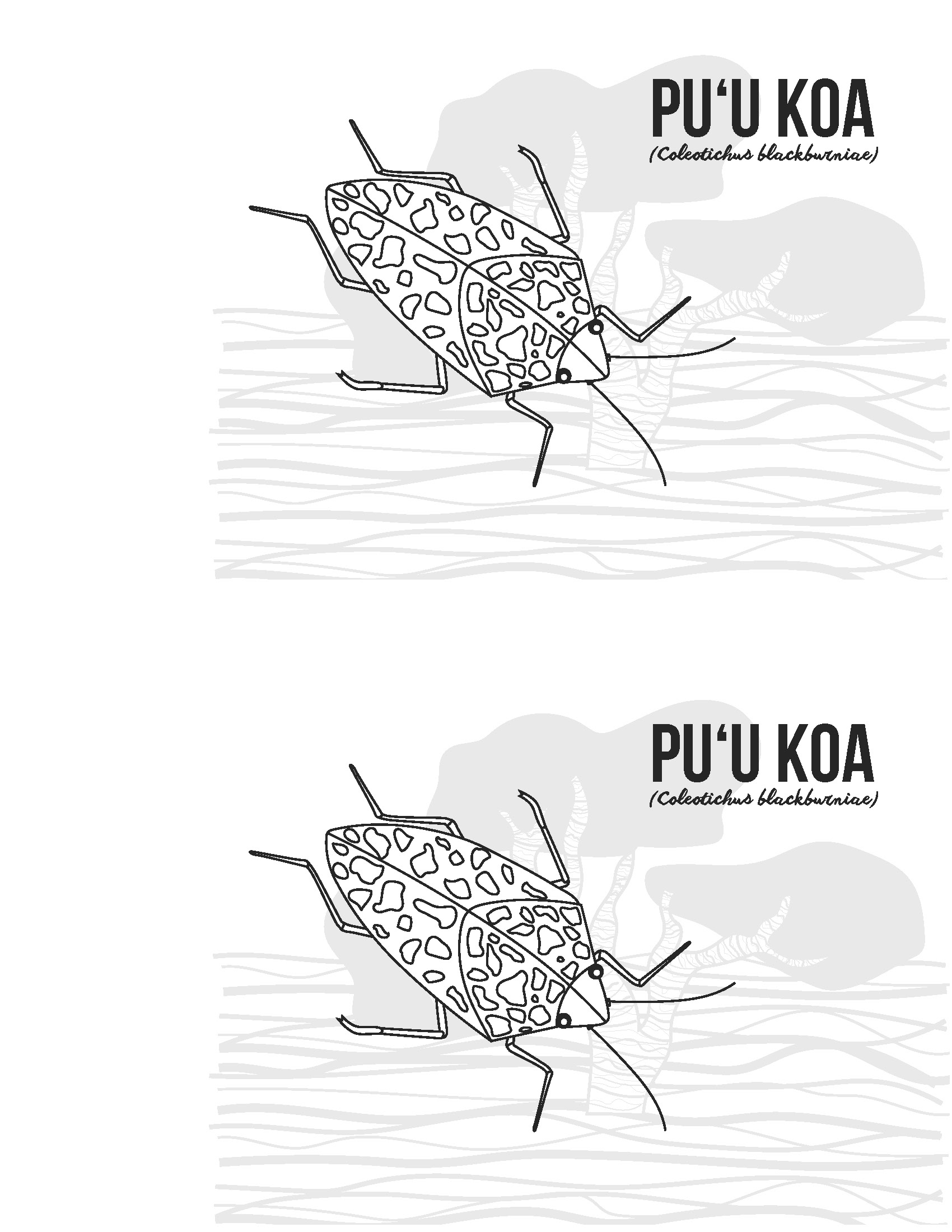 Division of Forestry and Wildlife | Activities: Crafts, Games, Coloring ...