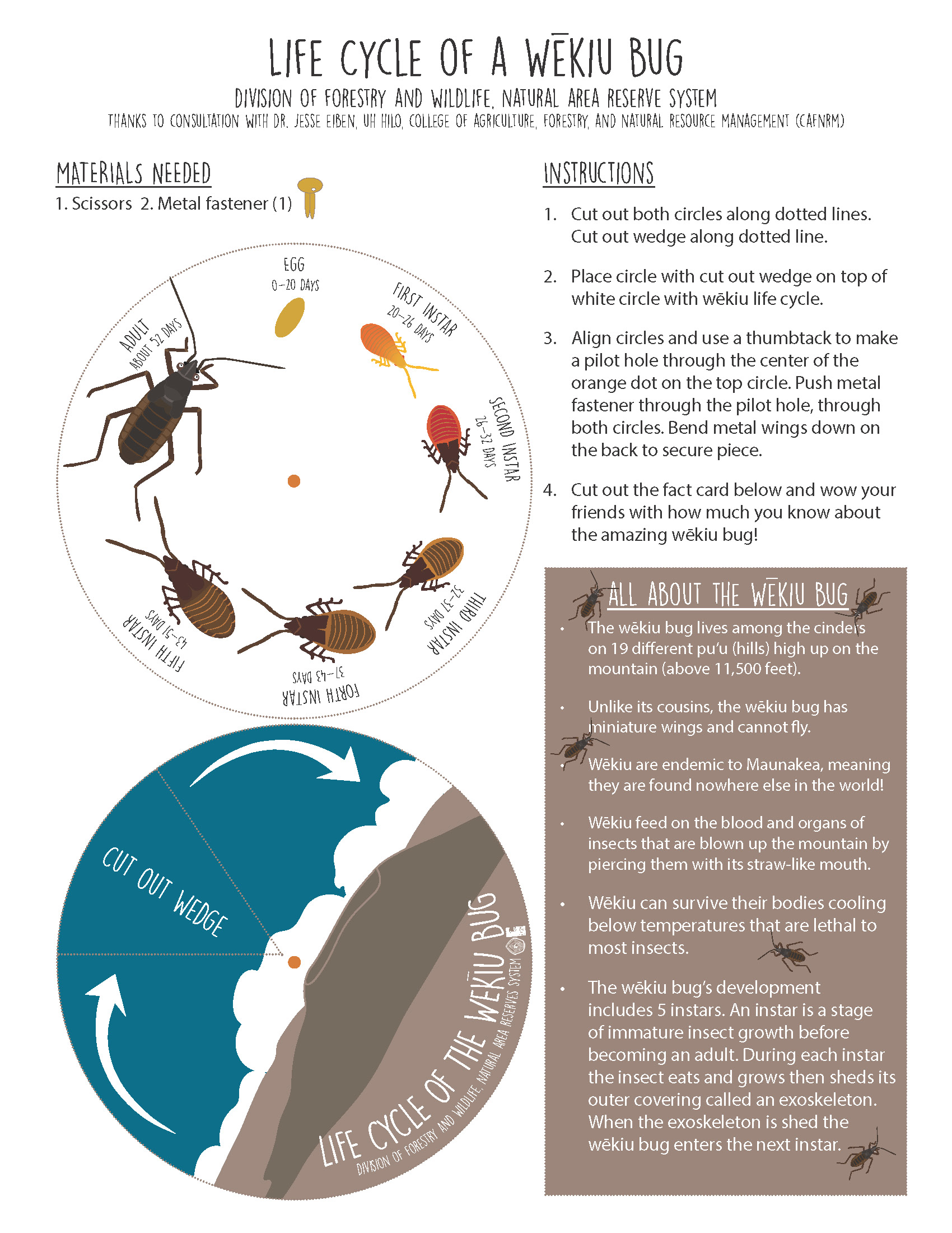 Division of Forestry and Wildlife | Activities: Crafts, Games, Coloring ...