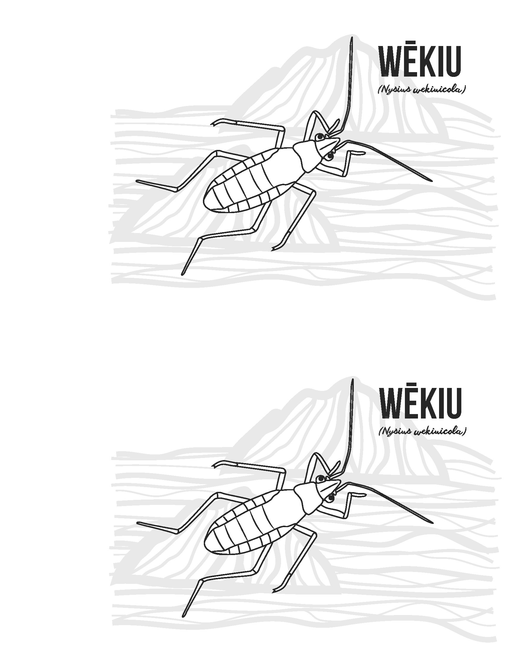 Division of Forestry and Wildlife | Activities: Crafts, Games, Coloring ...