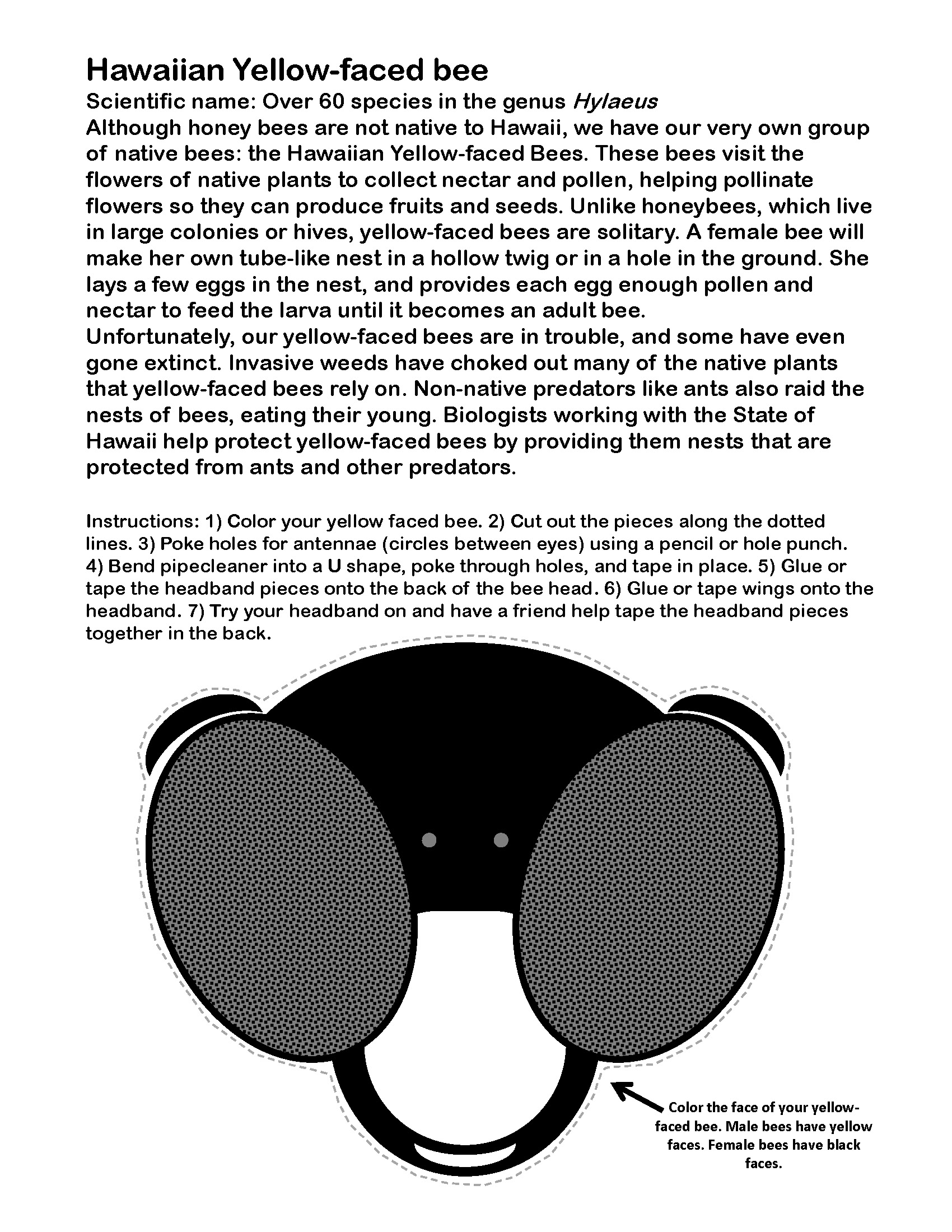 Division of Forestry and Wildlife | Activities: Crafts, Games, Coloring ...