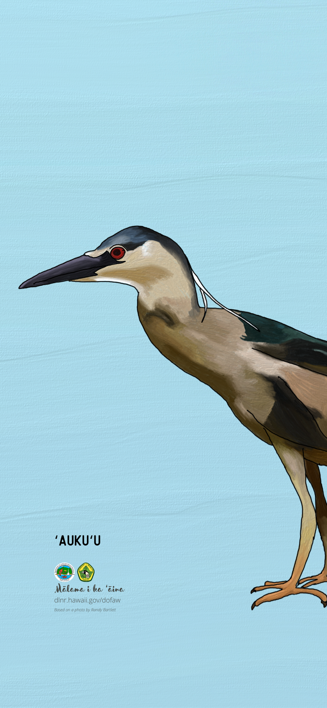 Division of Forestry and Wildlife | Native Species Backgrounds for ...