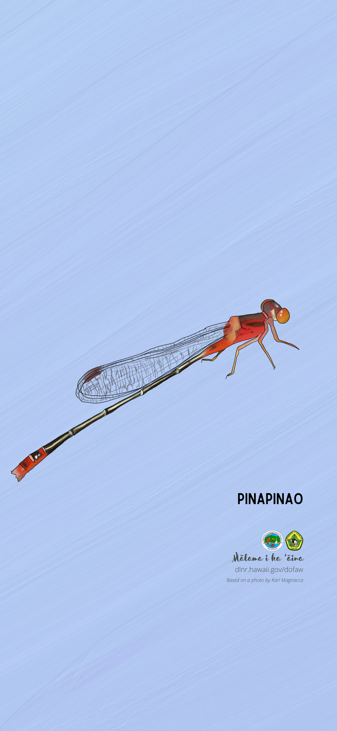 Division of Forestry and Wildlife | Native Species Backgrounds for ...