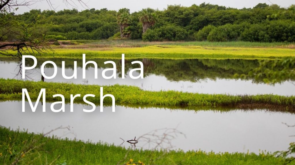 Division of Forestry and Wildlife | Virtual Field Trips