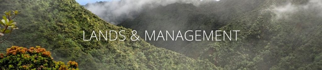 Division of Forestry and Wildlife | Lands & Management Classifications