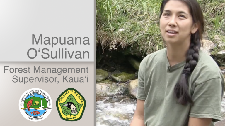 Division of Forestry and Wildlife | About Us