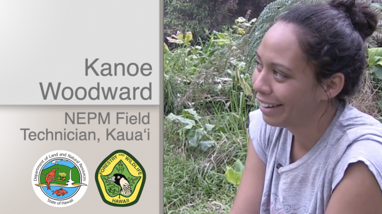 Division of Forestry and Wildlife | About Us