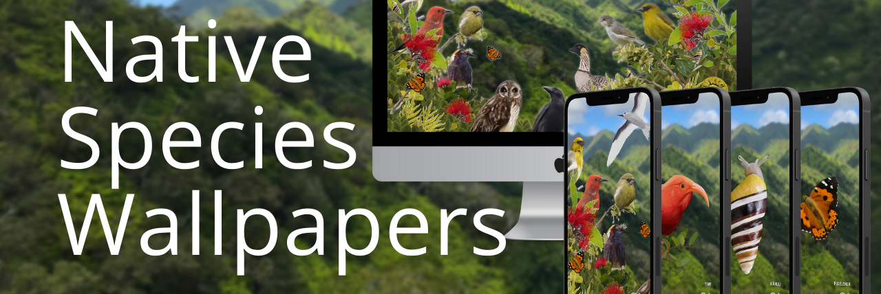 Native Species Wallpapers for Phones, Desktops, and Meetings – Division ...