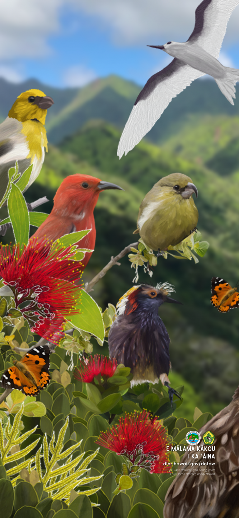 Division of Forestry and Wildlife | Native Species Backgrounds for ...