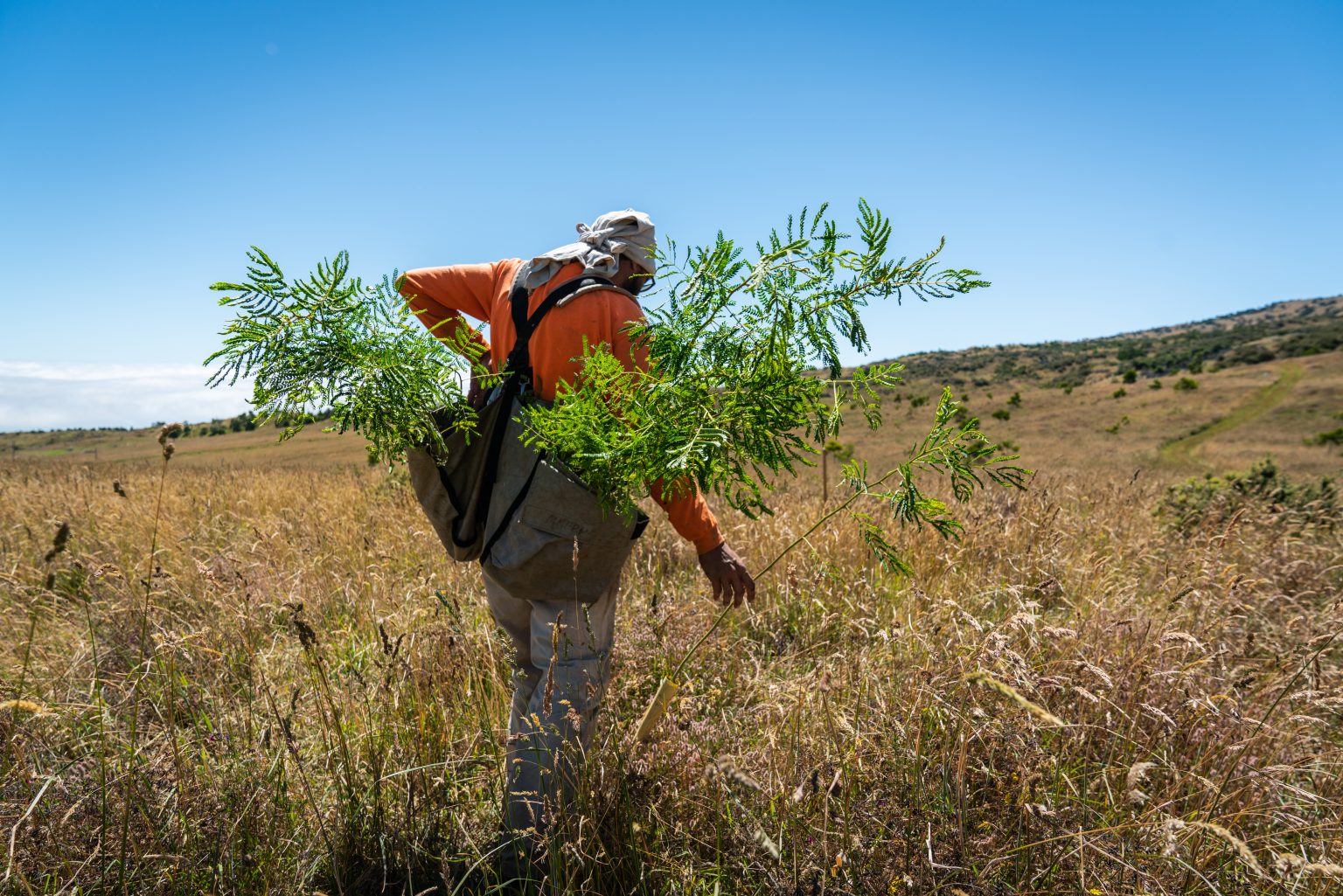 Division of Forestry and Wildlife | About Us