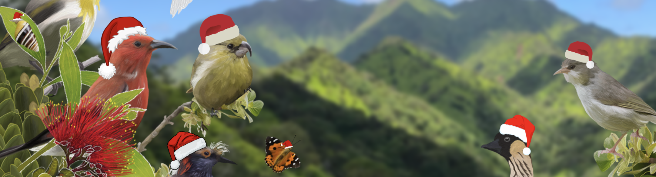 Division of Forestry and Wildlife | Bring native forests into your ...