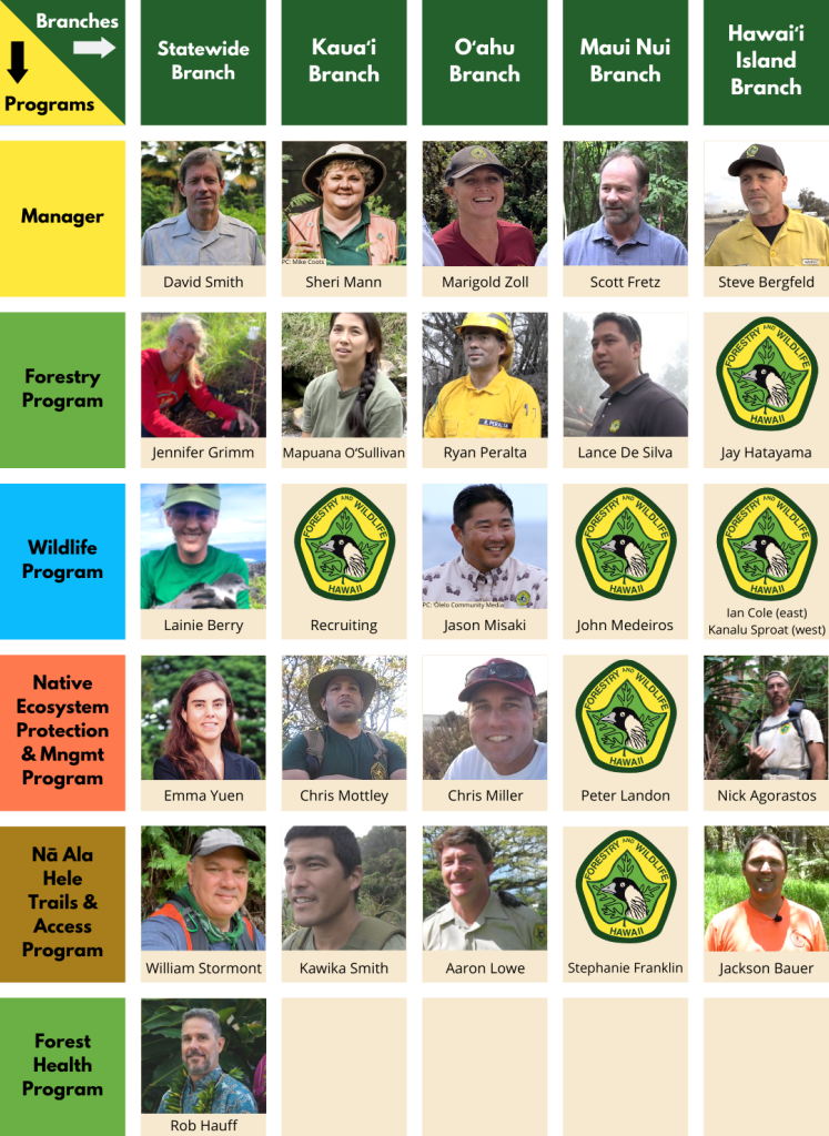 Division of Forestry and Wildlife | About Us