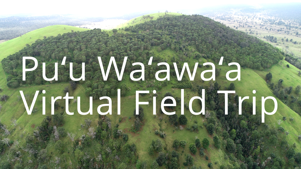 Division of Forestry and Wildlife | Virtual Field Trips