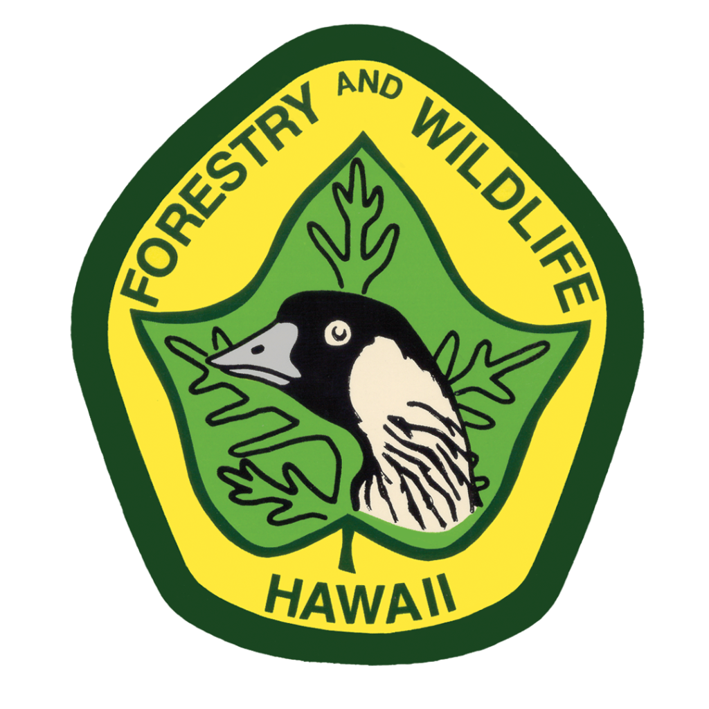 Division of Forestry and Wildlife | Happy Anniversary to Forestry ...
