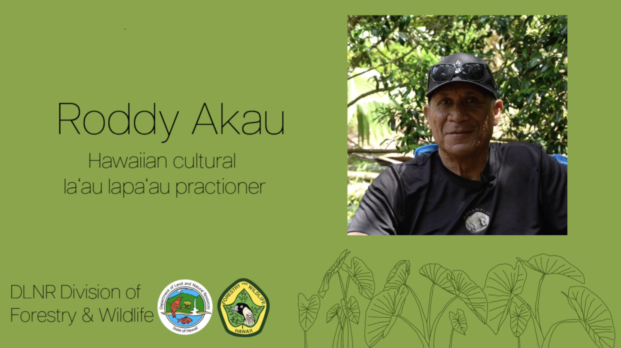 Division of Forestry and Wildlife | Videos