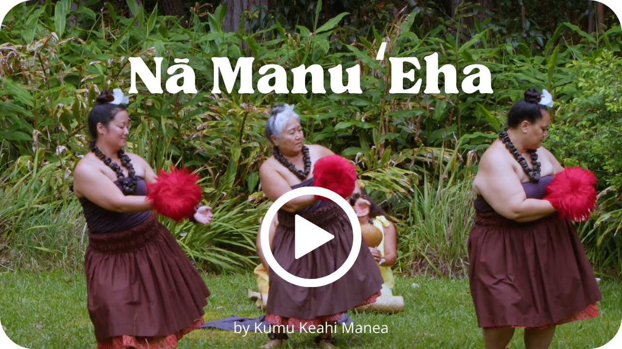 Division of Forestry and Wildlife | Makahiki o Nā Manu Nahele