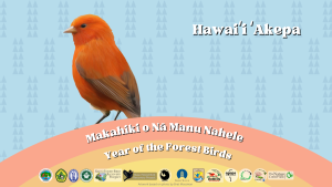 Division of Forestry and Wildlife | Native Species Wallpapers for ...