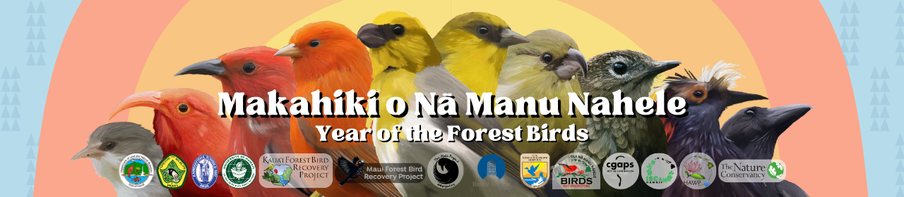 Division of Forestry and Wildlife | Makahiki o Nā Manu Nahele