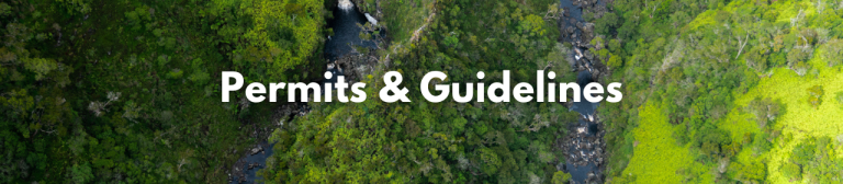 Division of Forestry and Wildlife | Permit Guidelines