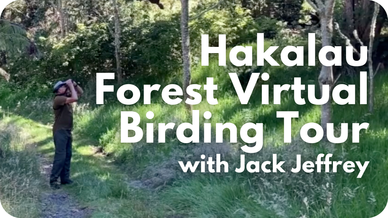 Division of Forestry and Wildlife | Makahiki o Nā Manu Nahele