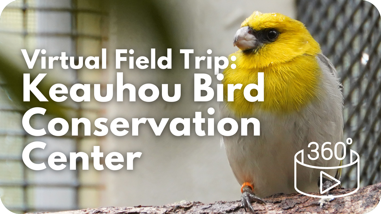 Division of Forestry and Wildlife | Virtual Field Trips