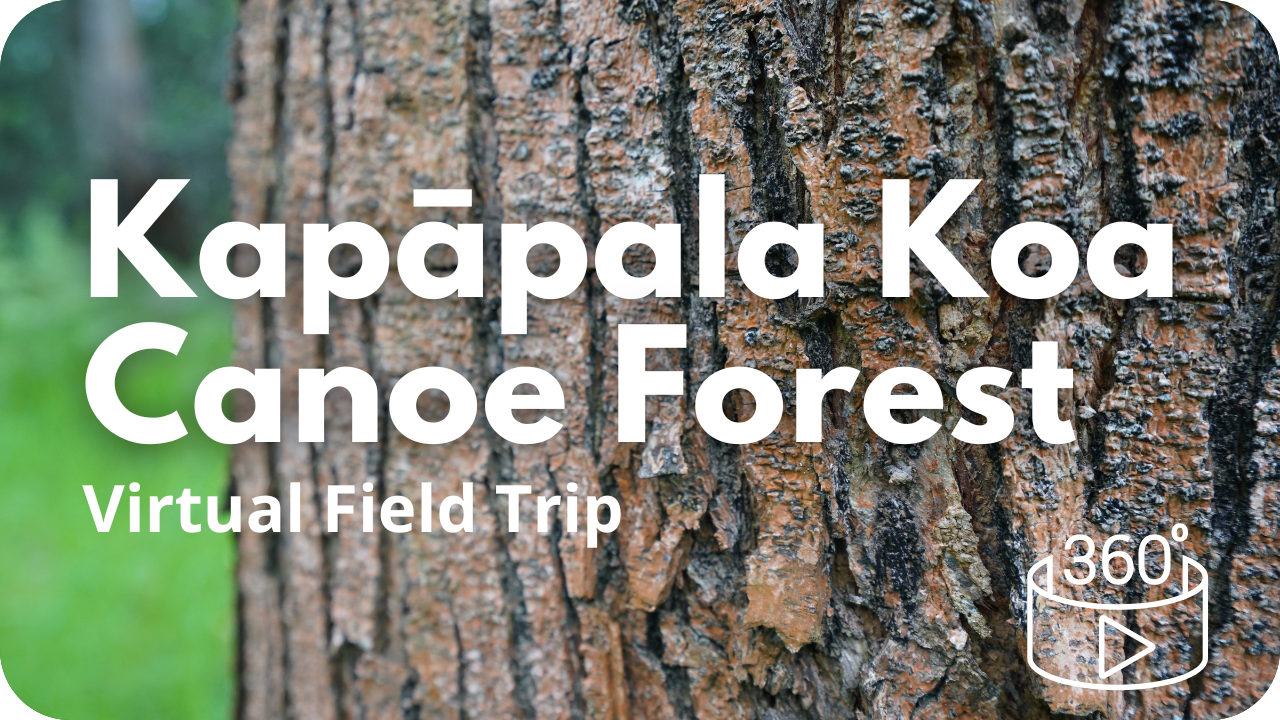 Division of Forestry and Wildlife | Virtual Field Trips