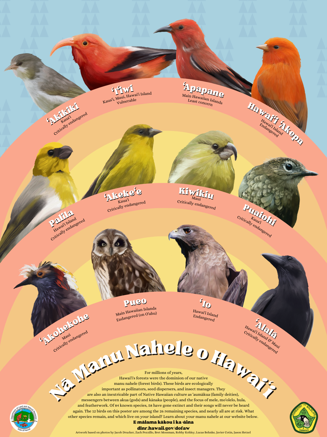 Division of Forestry and Wildlife | Education