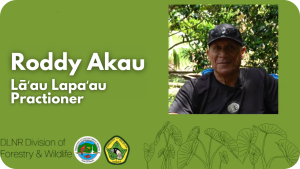 Division of Forestry and Wildlife | Videos