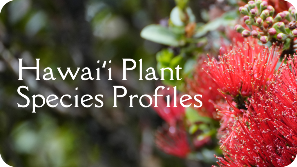 Division of Forestry and Wildlife | 2025: Year of Our Community Forests